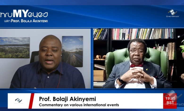 Akinyemi says Mandela suffers from same public perception issues as ...