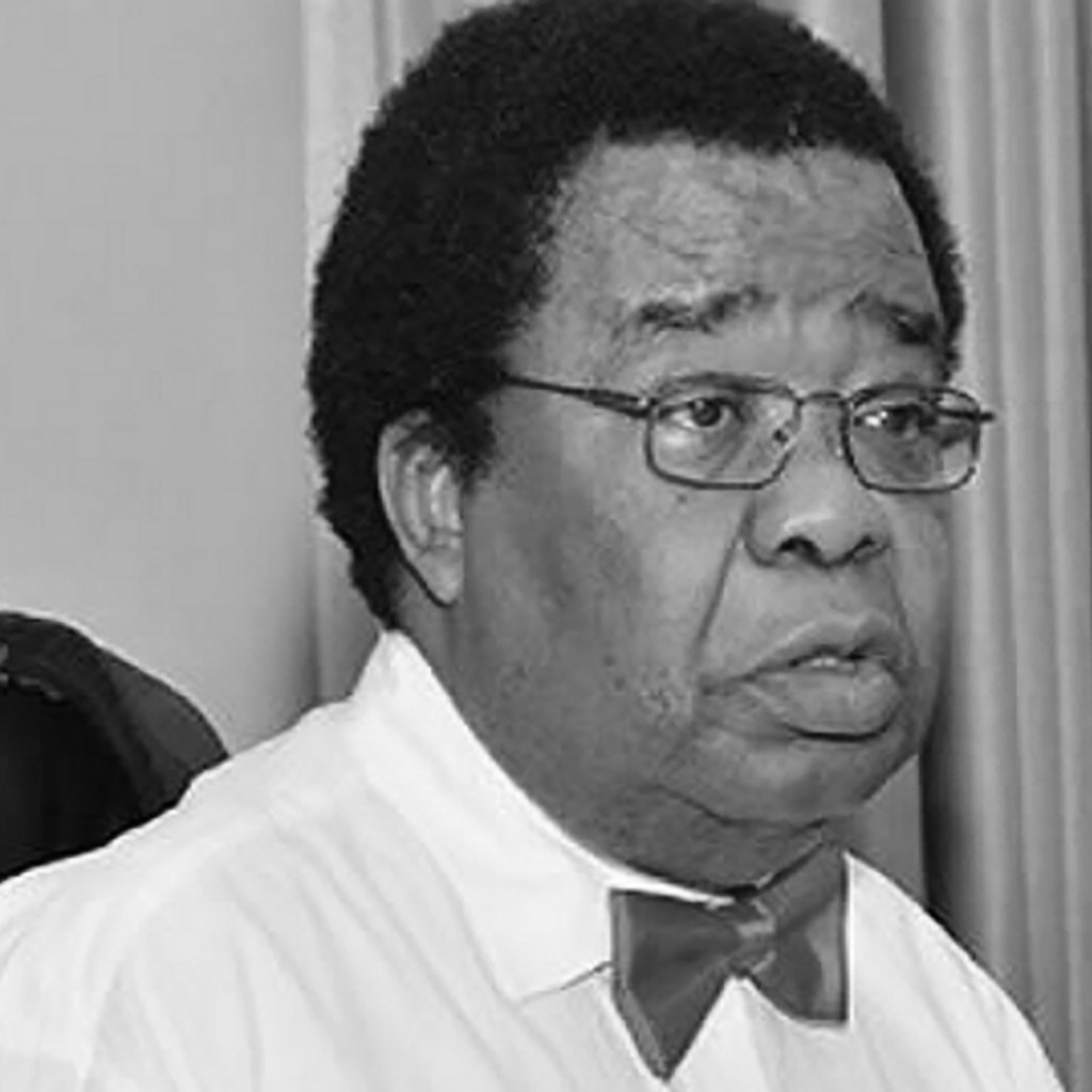 Prof. Bolaji Akinyemi – thruMYeyes